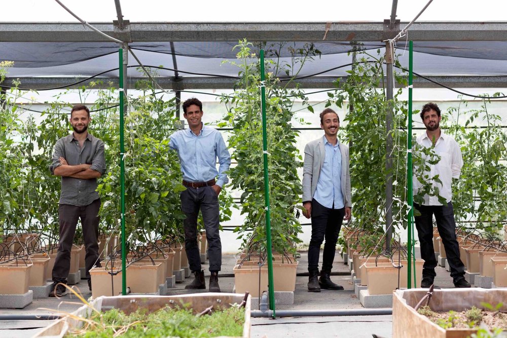 Prima linea di pesti acquaponici made in Italy realizzati da The Circle ...